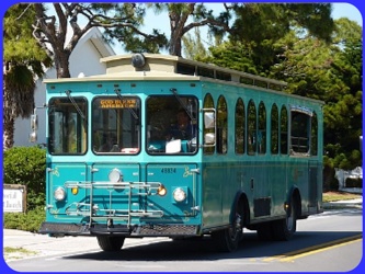 Fern Cottage - Information